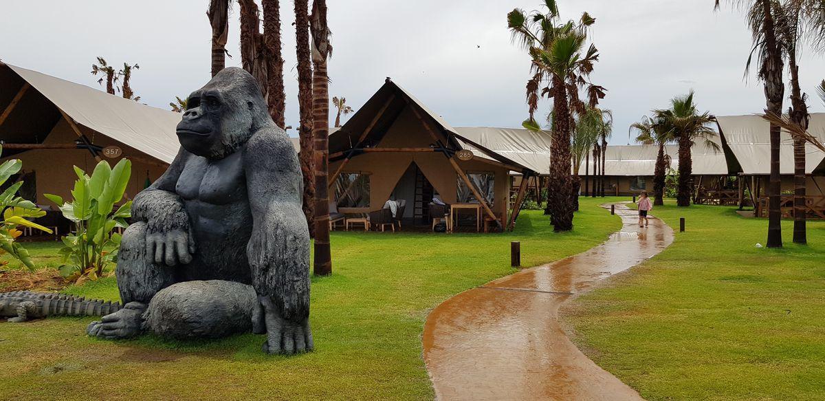 Camping El Delfin Verde